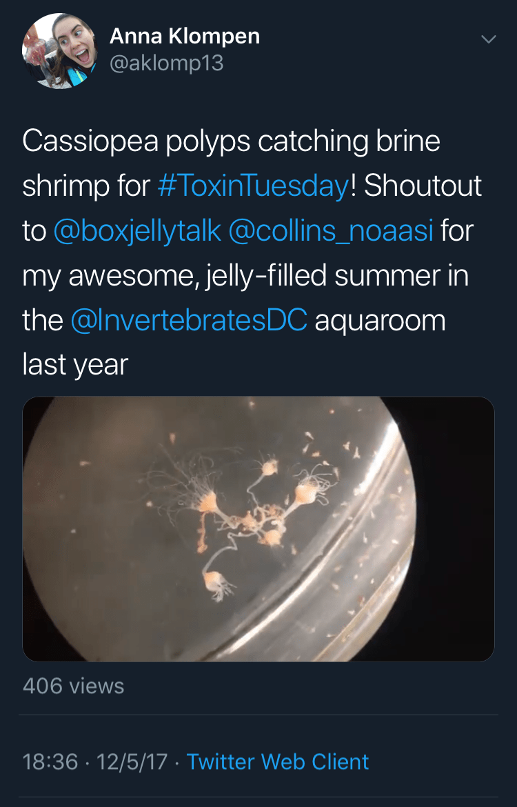 How Twitter has helped me in graduate school – Gelatinous Sting